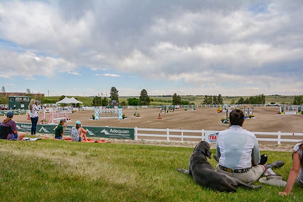 Being A Spectator At A Horse Show