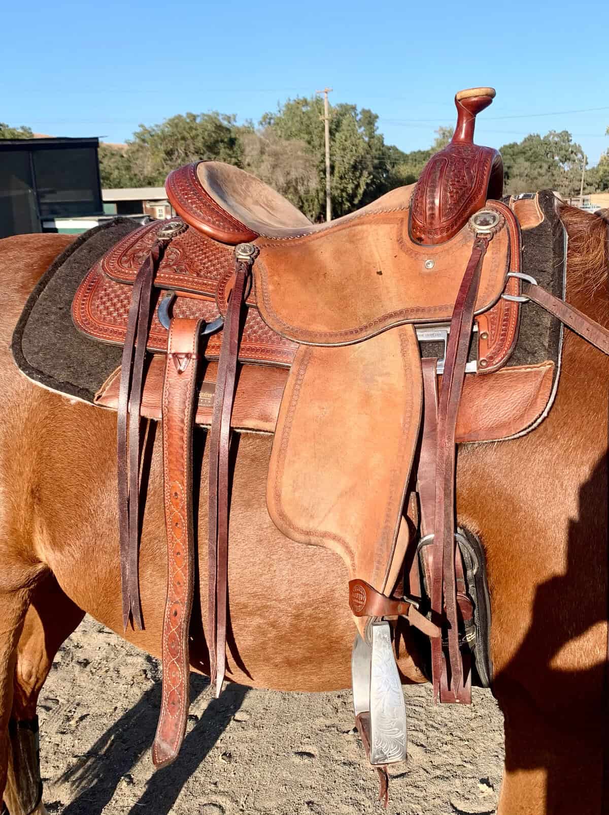 Quick Tips for Fitting Your Horse’s Saddle