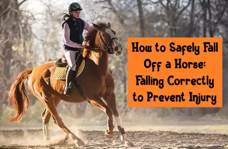 How to Safely Fall Off a Horse: Falling Correctly to Prevent Injury