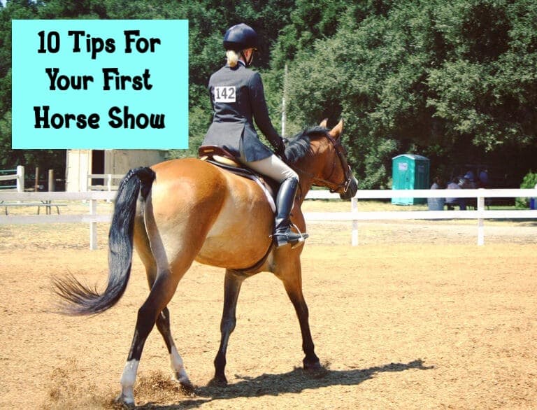 10 Tips For Your First Horse Show