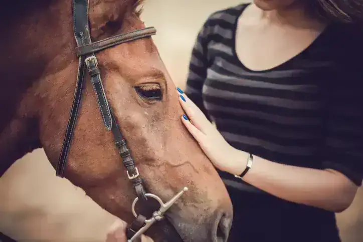 Grieving The Loss Of A Horse