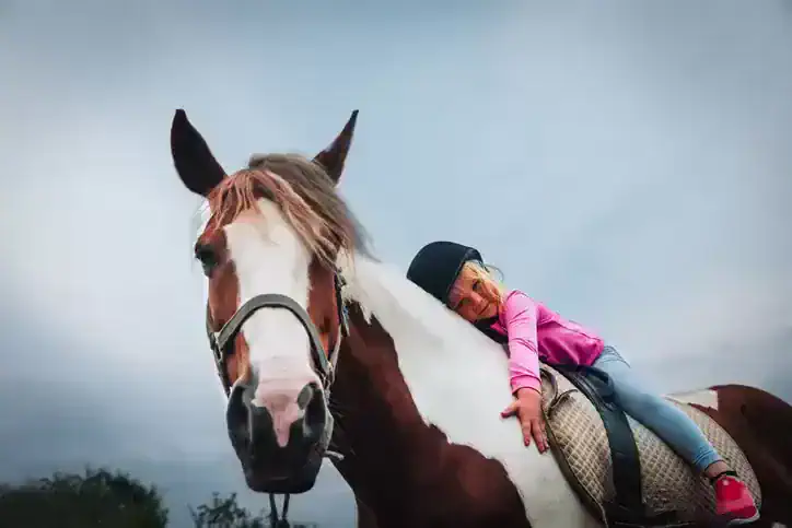 5 Valuable Lessons We Can Learn From Horses