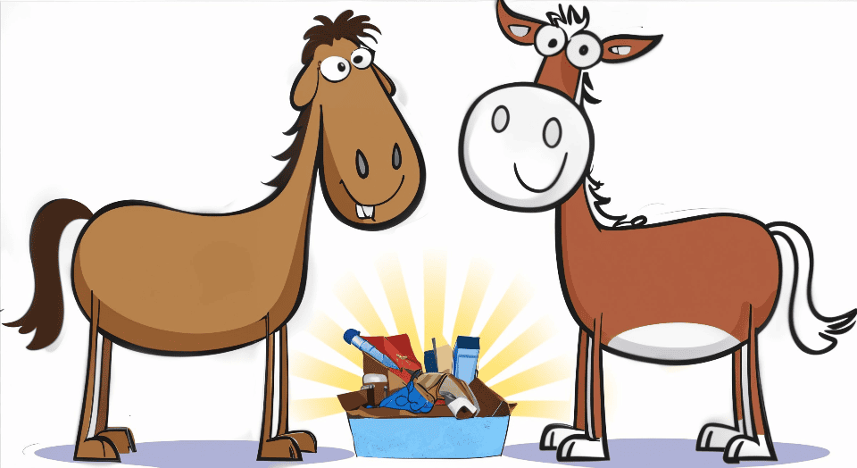 SaddleBox: Equestrian Gift Boxes for Horse Owners & Riders