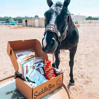 SaddleBox: Equestrian Gift Boxes for Horse Owners & Riders