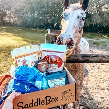 SaddleBox: Equestrian Gift Boxes for Horse Owners & Riders