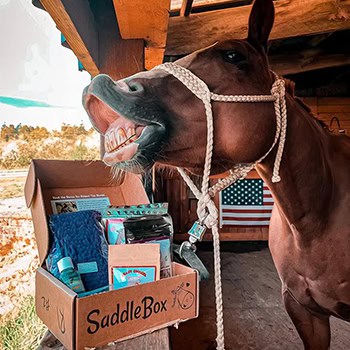 SaddleBox: Equestrian Gift Boxes for Horse Owners & Riders