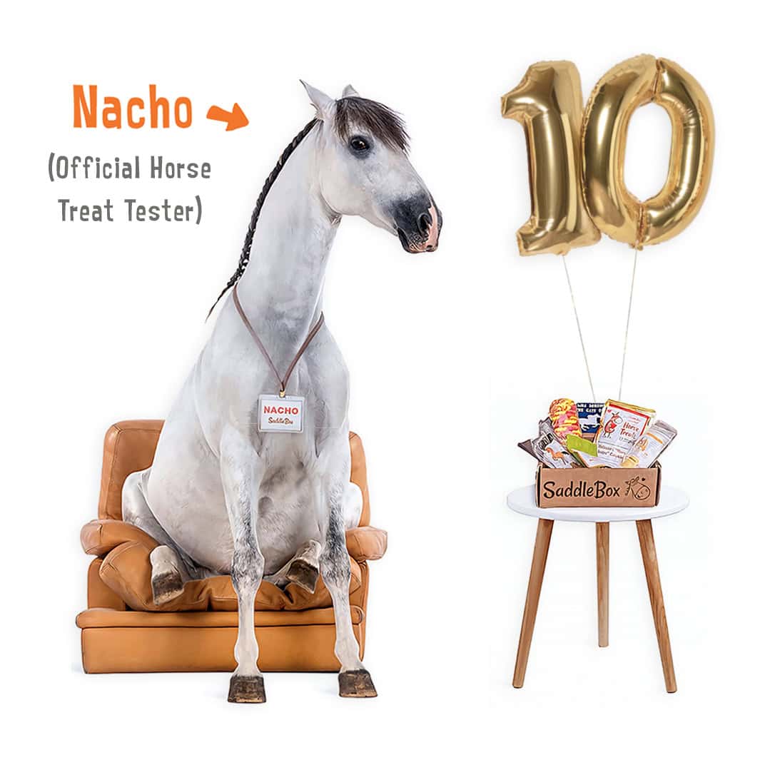 SaddleBox: Equestrian Gift Boxes for Horse Owners & Riders