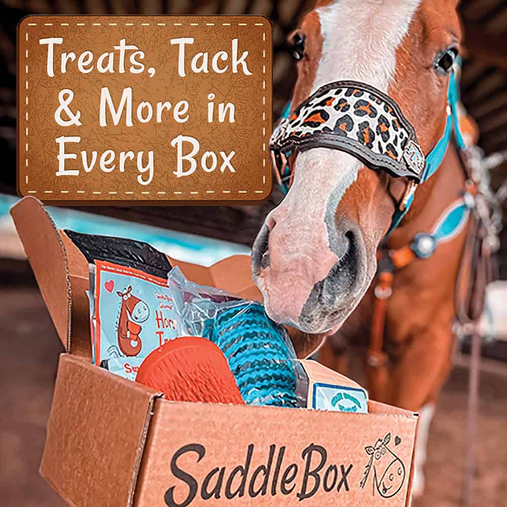 SaddleBox: Equestrian Gift Boxes for Horse Owners & Riders