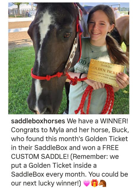 Win a Free Saddle